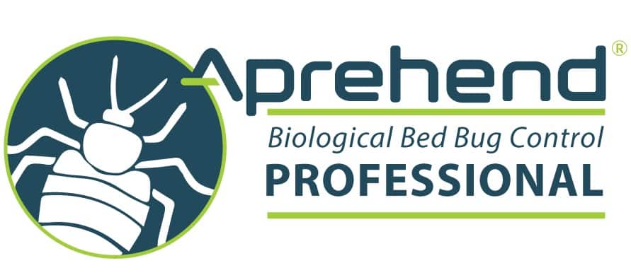 San Francisco Bay Area Bed Bug Treatment | Bay Area Bed Bug